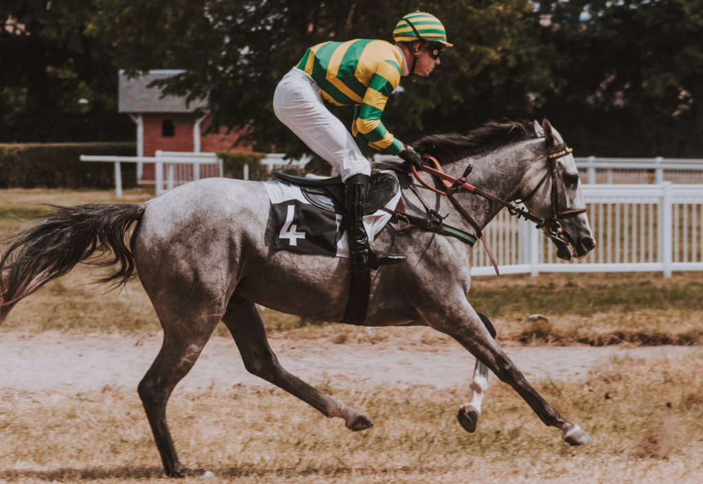 The History Of Horse Racing In Great Britain Local Histories