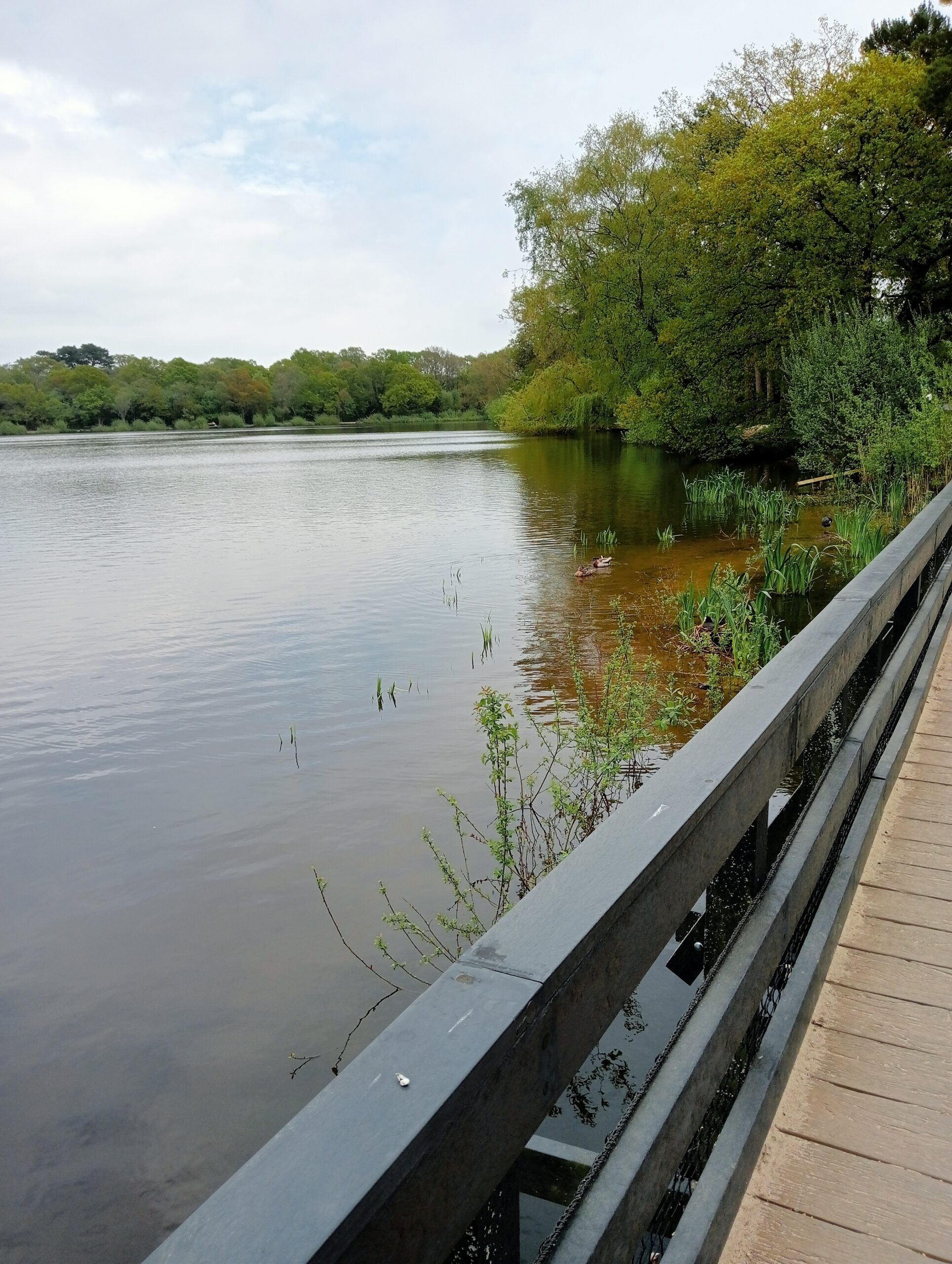 Pictures of Petersfield - Local Histories