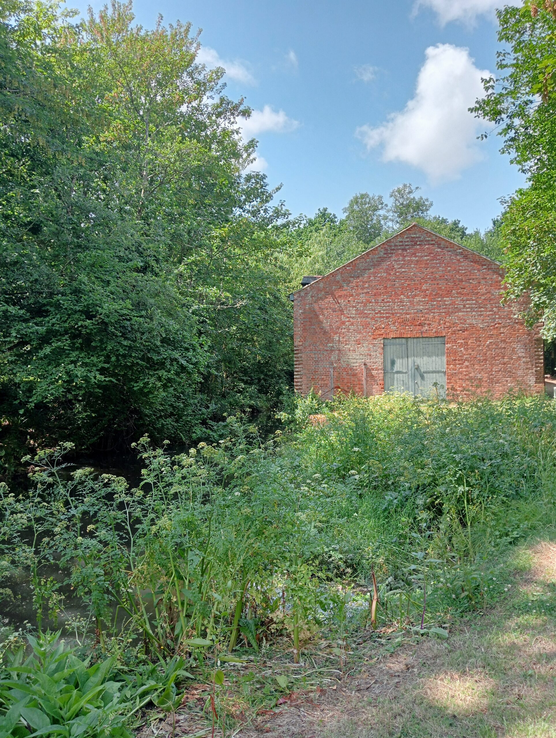 Pictures of Botley - Local Histories