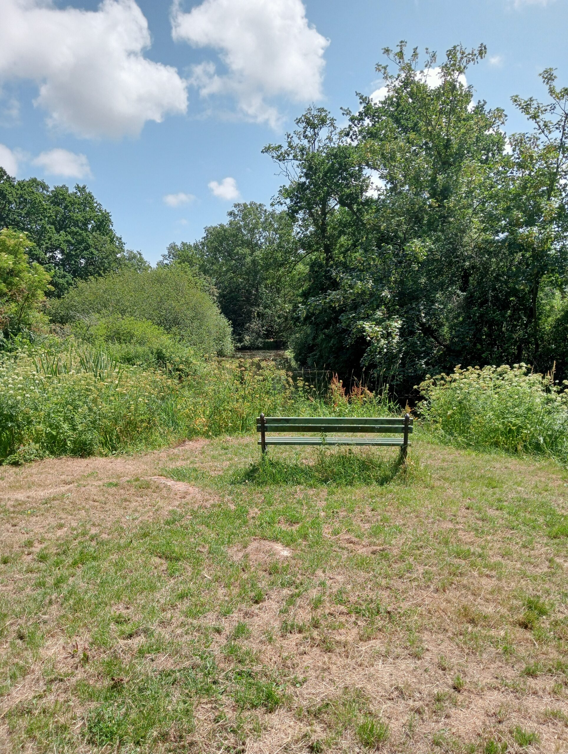 Pictures of Botley - Local Histories