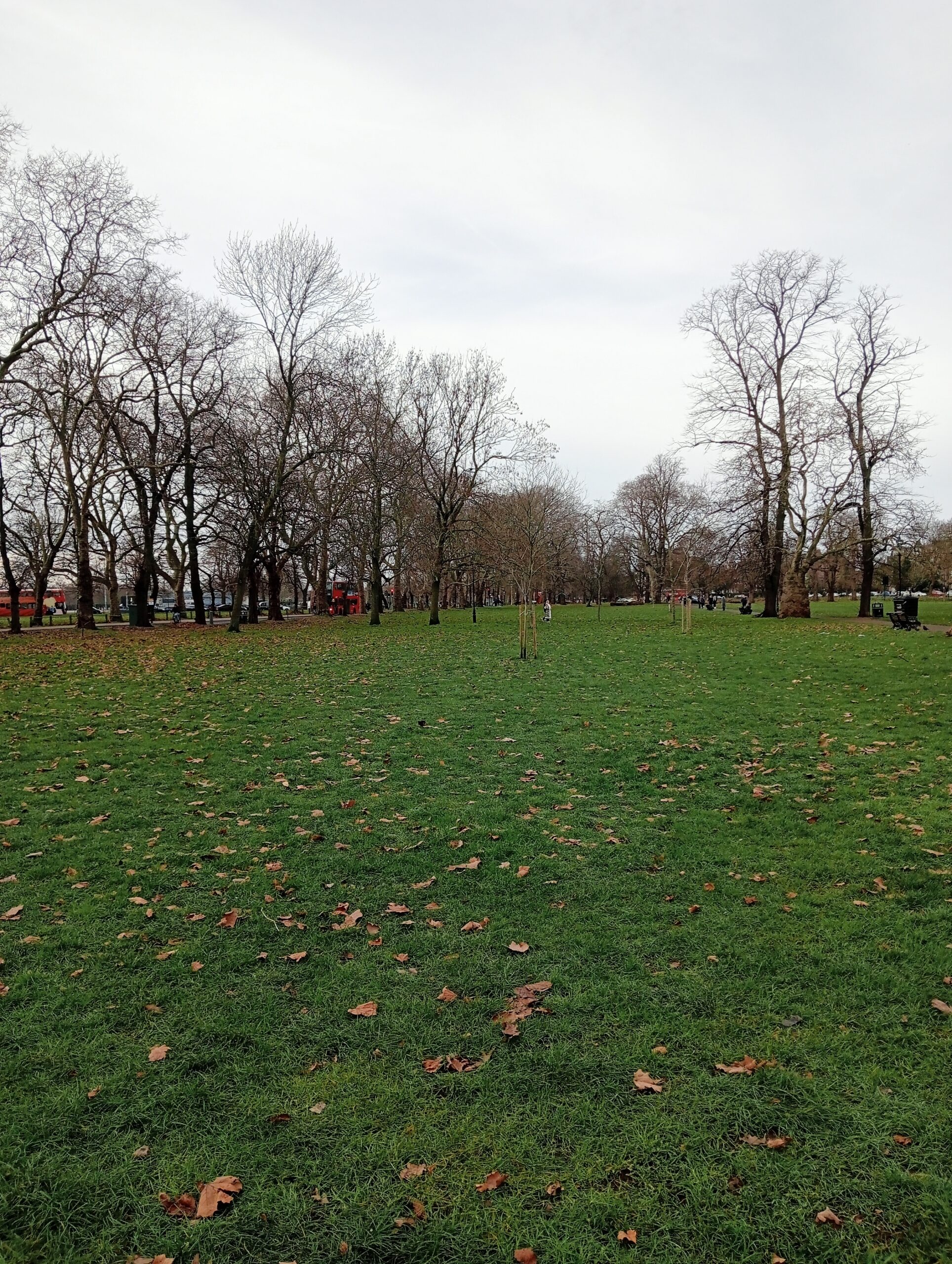 Pictures of Clapham - Local Histories