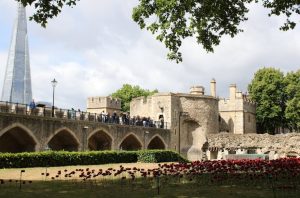 The History of How Immigration Shaped the Neighbourhoods of Modern ...